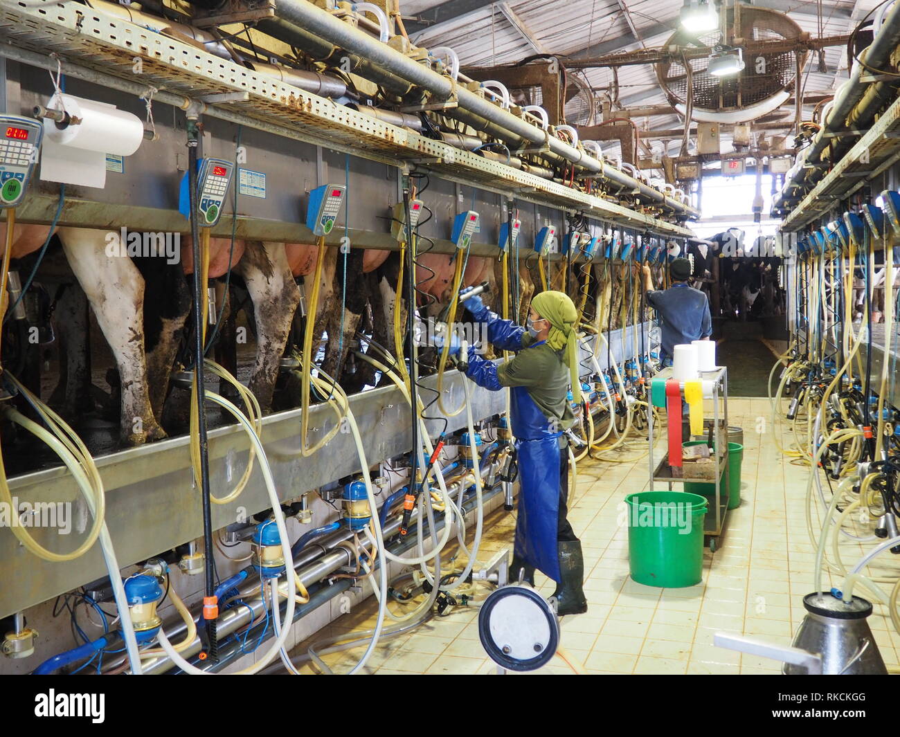 Milk producers hi-res stock photography and images - Alamy