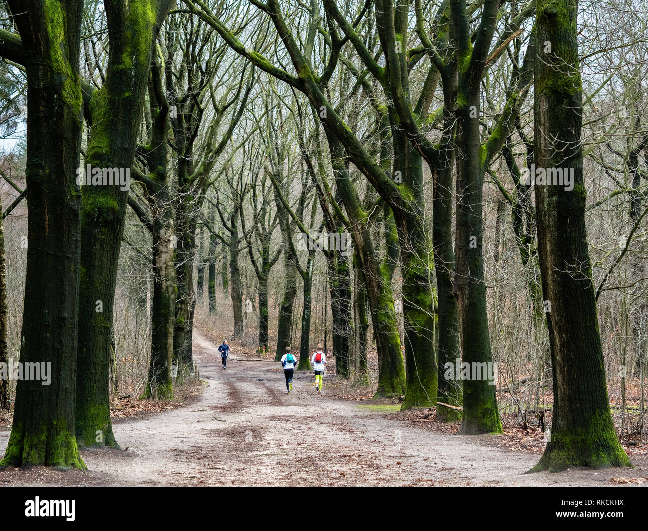 Runners in storm hi-res stock photography and images - Alamy