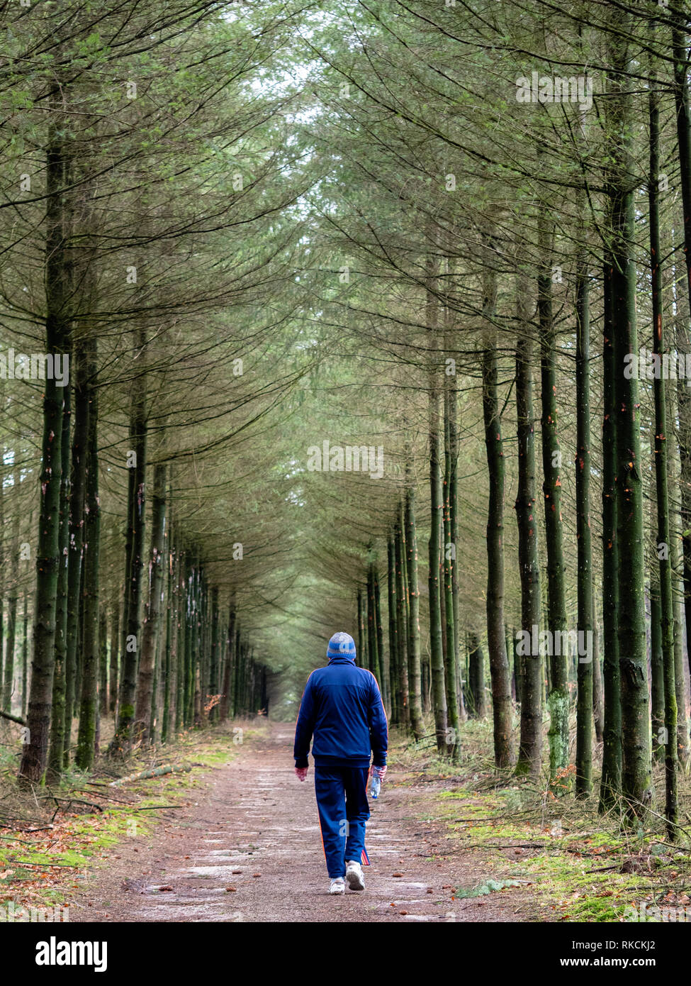 An man is seen running in the forest during stormy weather Stock Photo ...