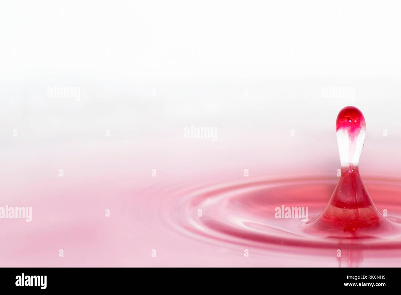 Close up of a water drop landing in pink water Stock Photo - Alamy