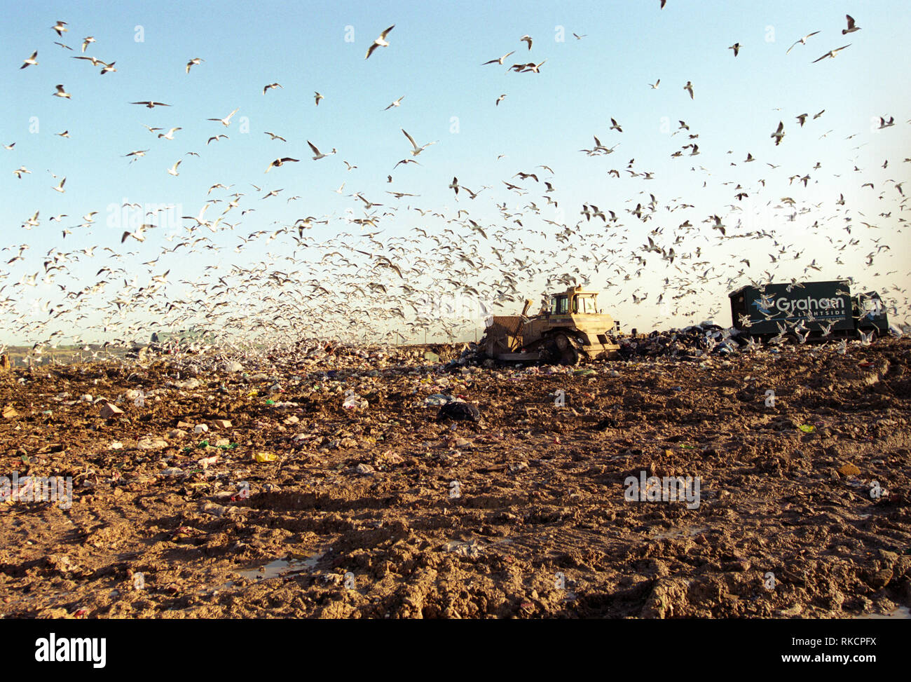 Birds over landfill hi-res stock photography and images - Alamy