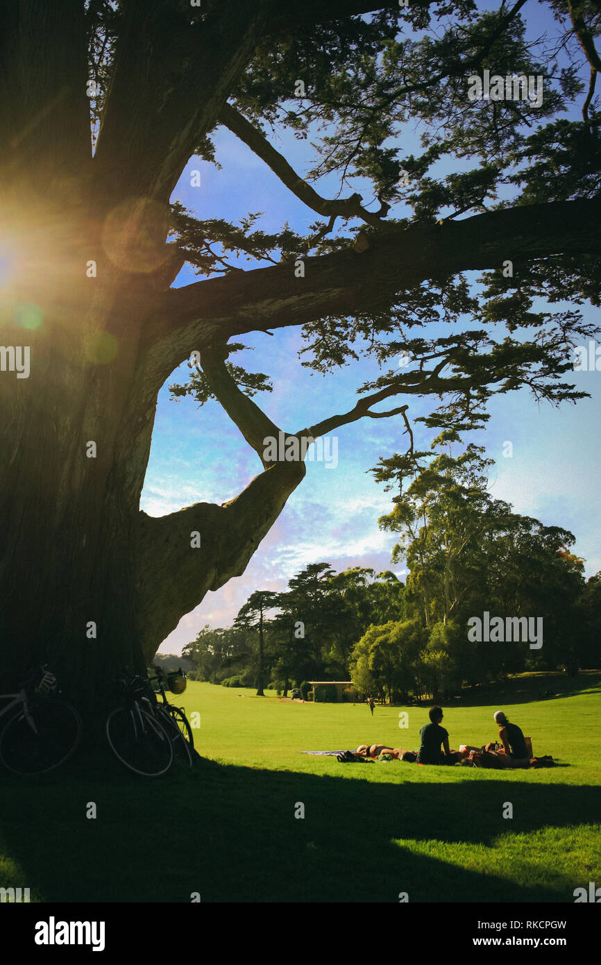 Peaceful Picnic Park Scene Green Grass Bright Sunny Weather Open ...