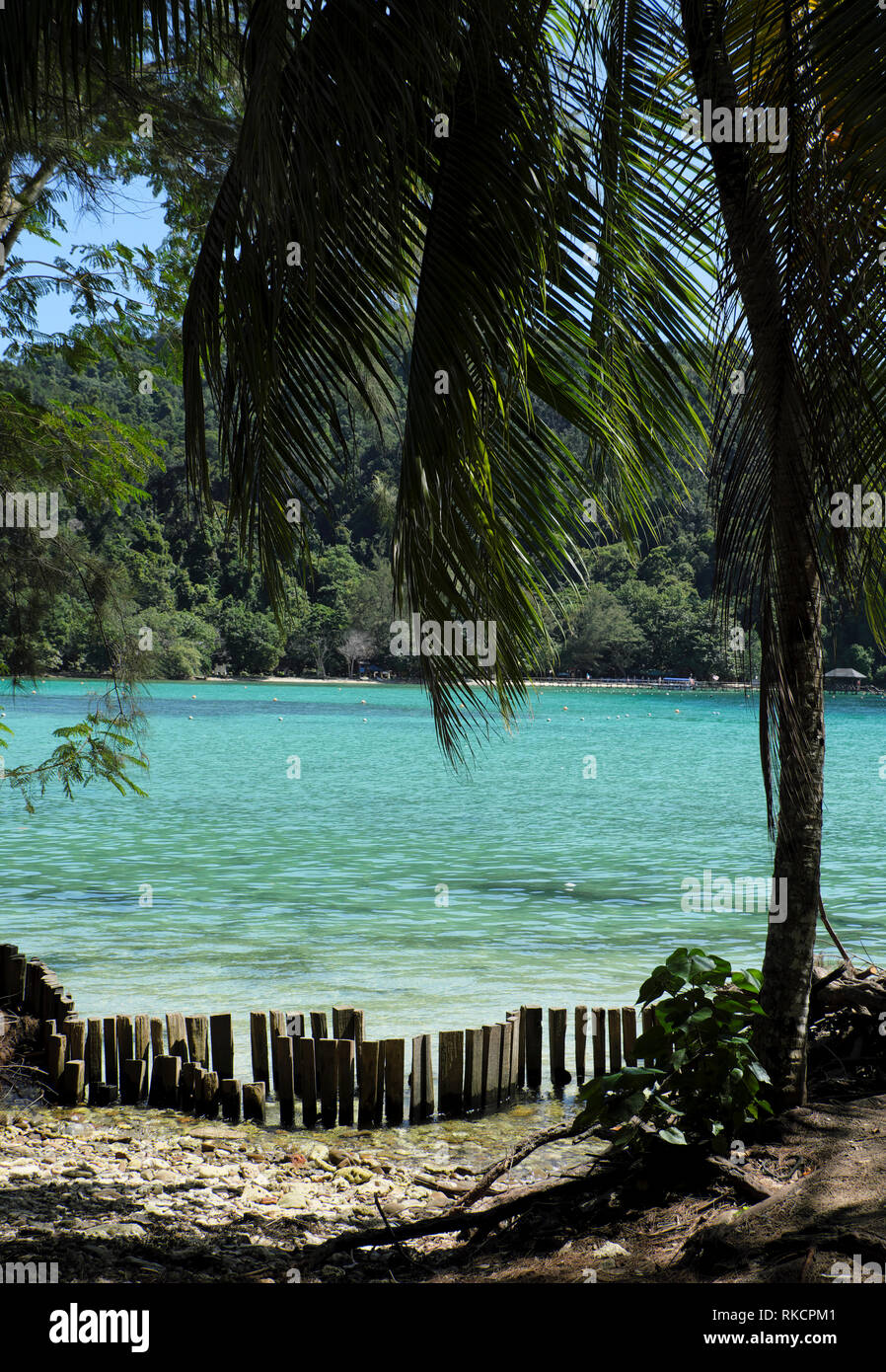 If youre curious about sabahs marine ecosystem hi-res stock photography ...