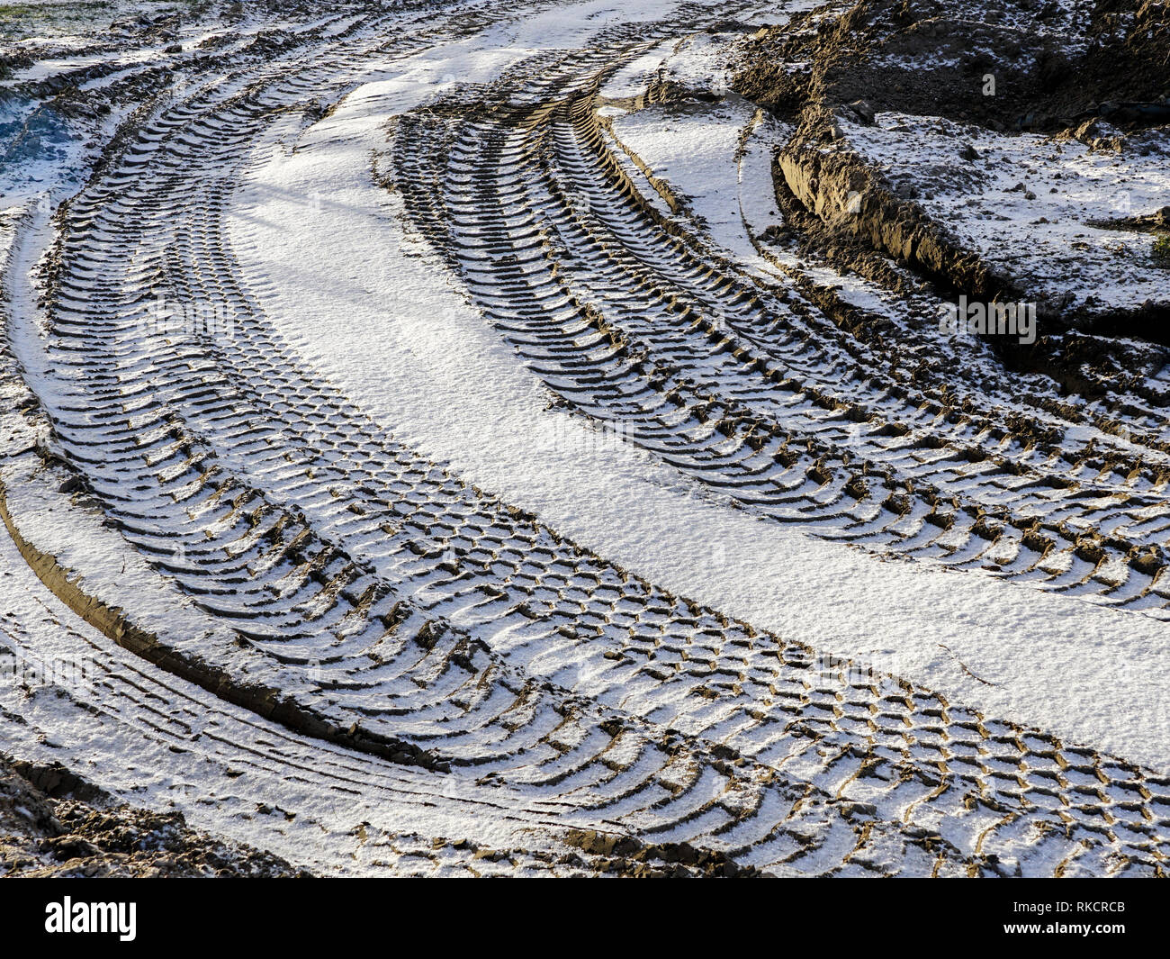 closeup of curved tire tracks in the mud Stock Photo - Alamy
