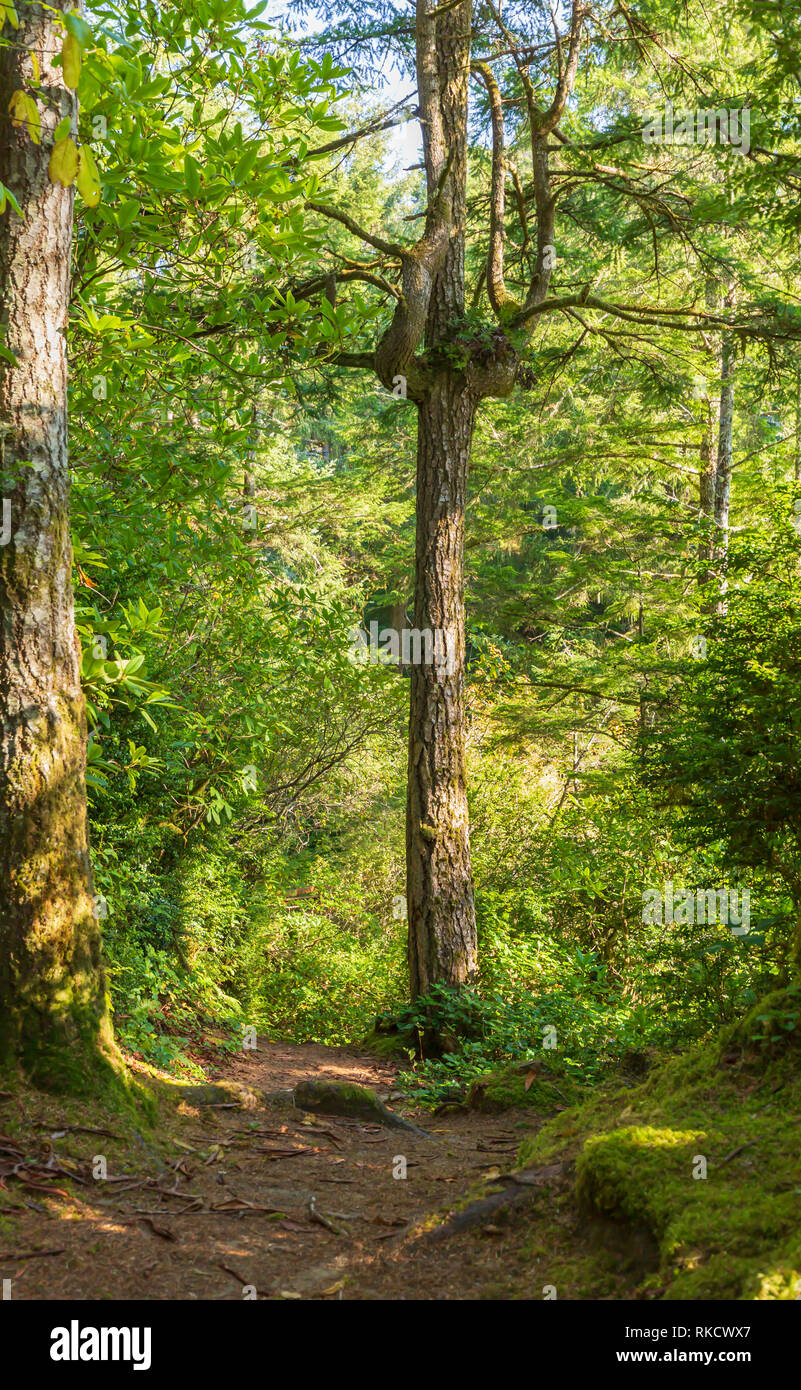 Hikeing trail hi-res stock photography and images - Alamy