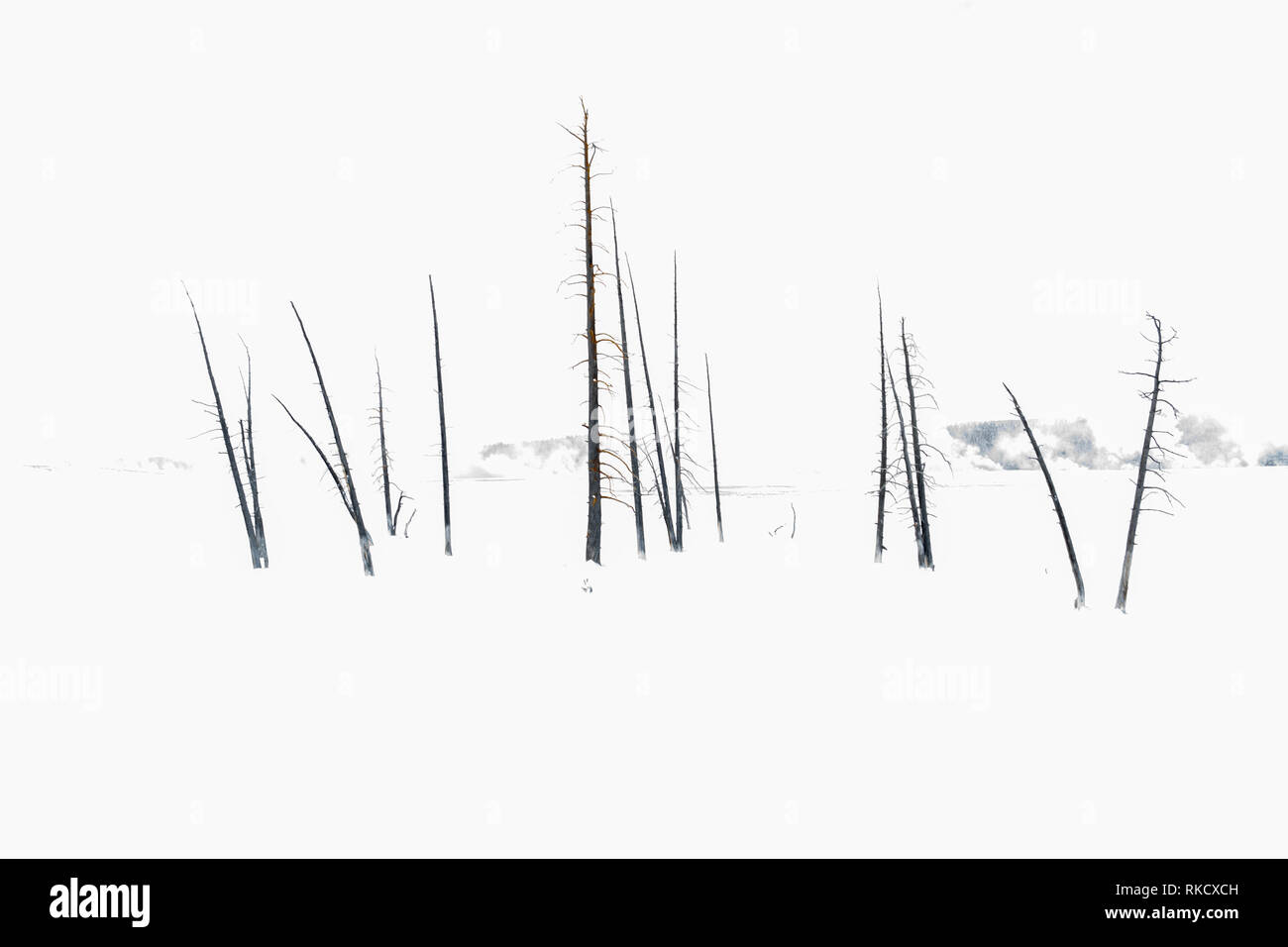 Skeleton In Snow Stock Photos & Skeleton In Snow Stock Images - Alamy