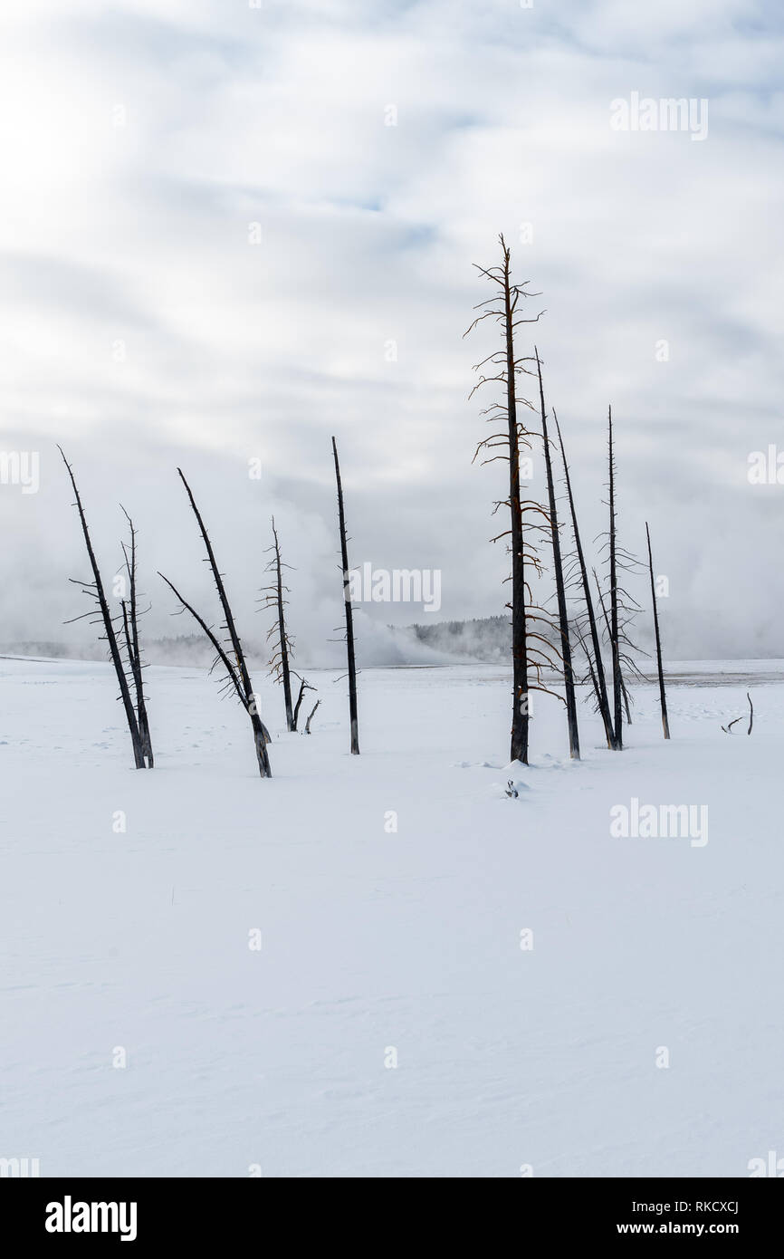 Skeleton In Snow Stock Photos & Skeleton In Snow Stock Images - Alamy