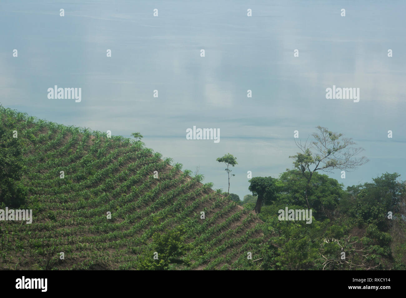 Views of Lago de Ilopango, El Salvador Stock Photo - Alamy