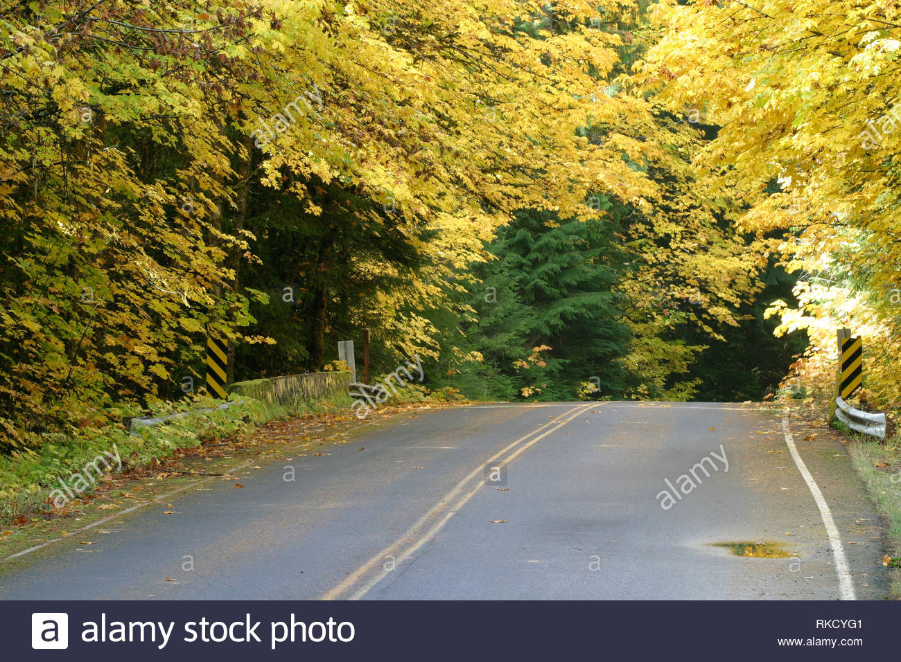 West Cascades Scenic Byway High Resolution Stock Photography and Images ...