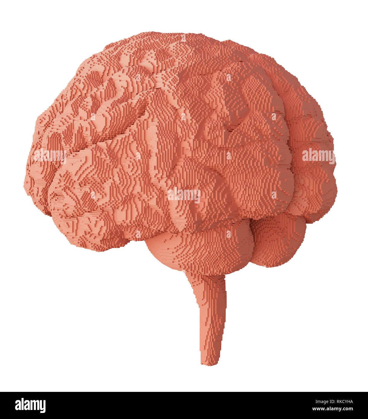 3d rendered brain isolated Stock Photo - Alamy