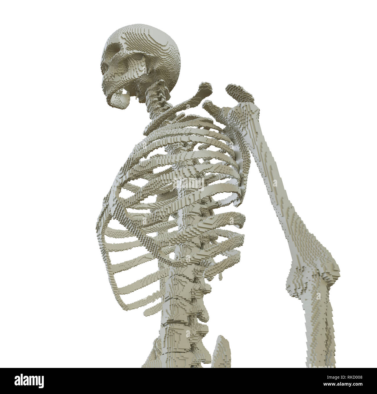 3d printed skeleton isolated Stock Photo - Alamy