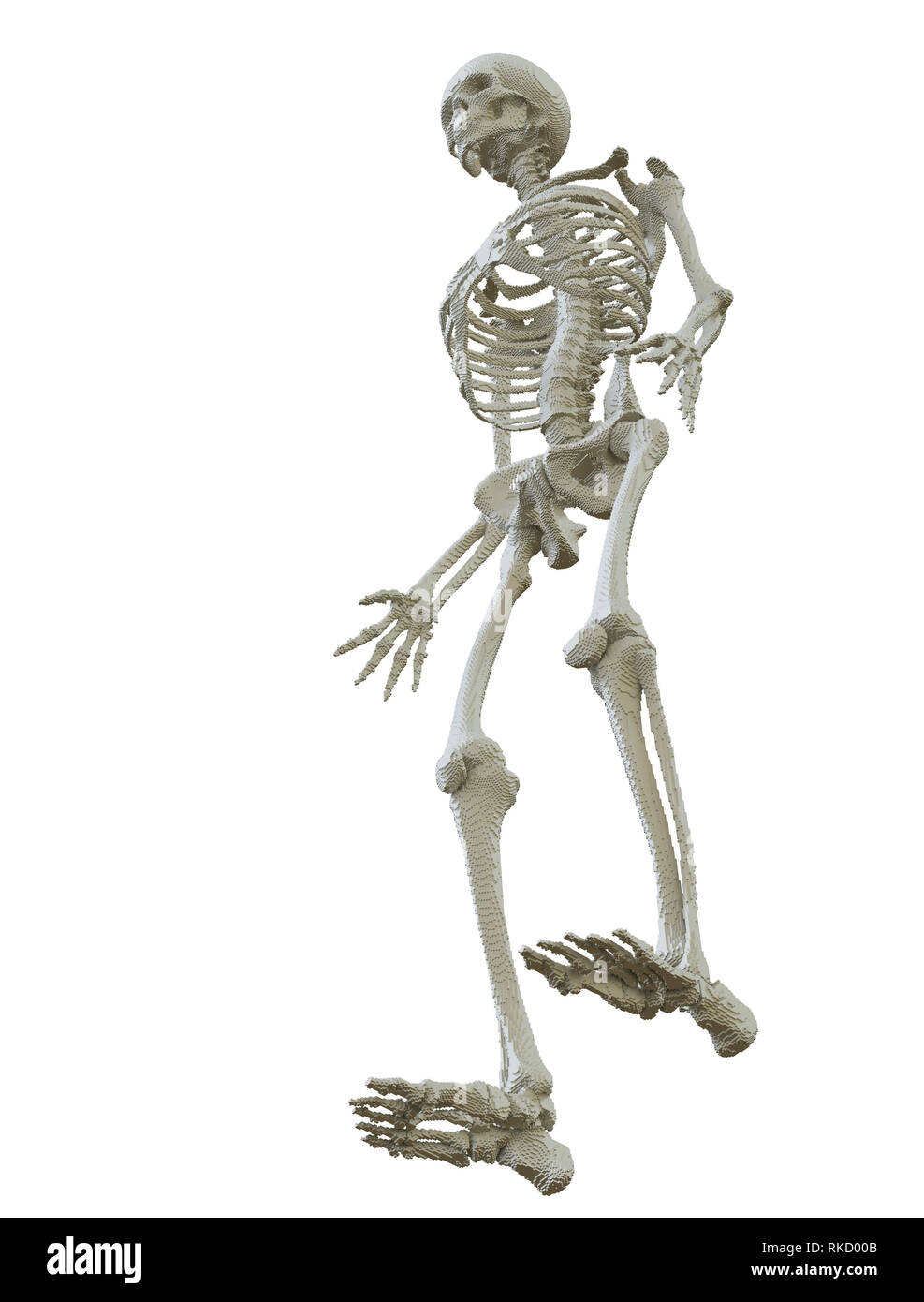 3d printed skeleton isolated Stock Photo - Alamy