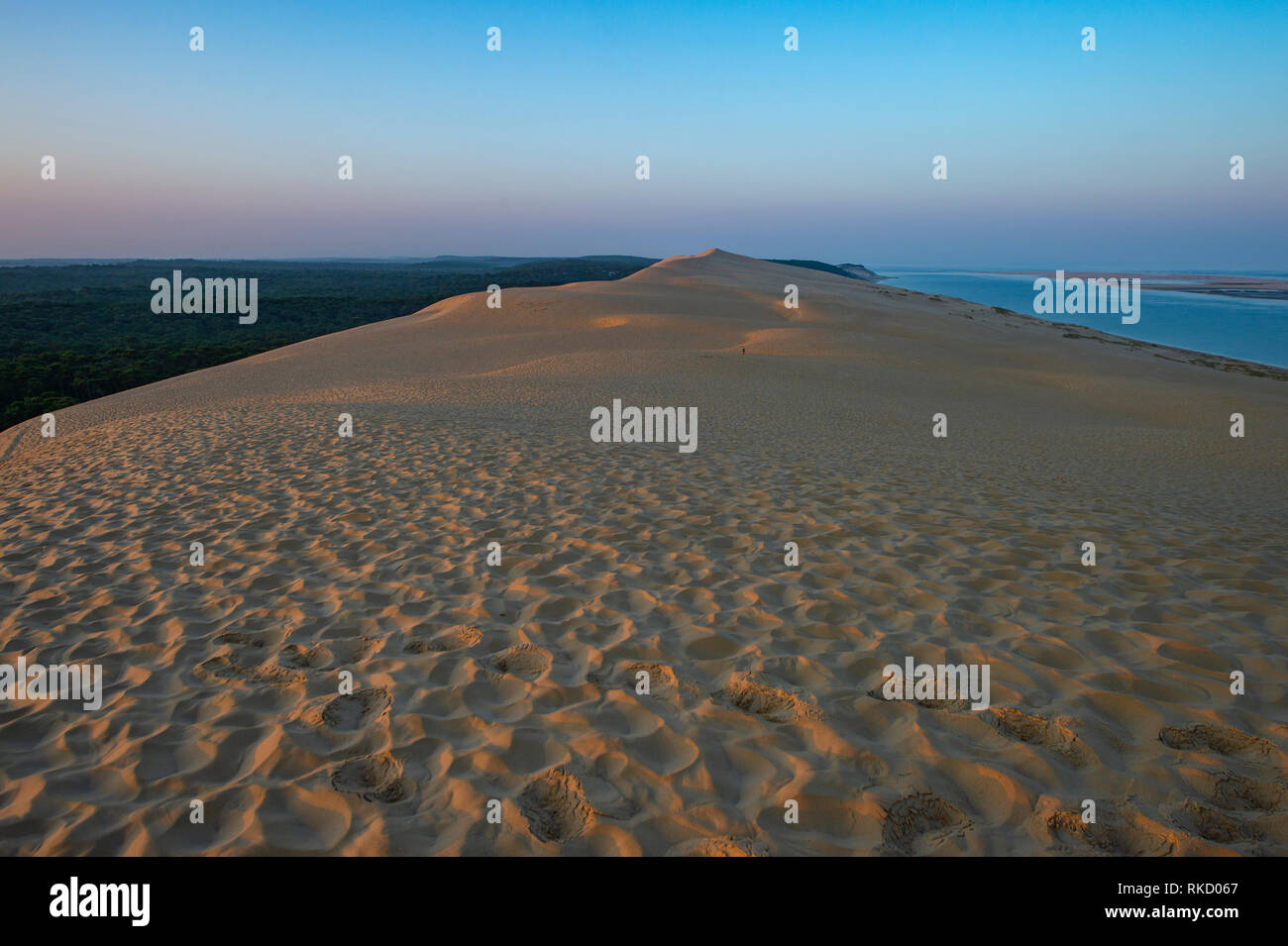 Dune of Pilate, France. Gironde, Arcachon Basin, Aquitaine, the largest ...