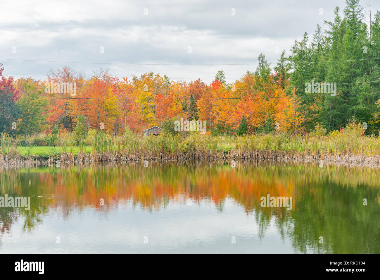 Some rural fall color landscape at Quebec, Canada Stock Photo - Alamy