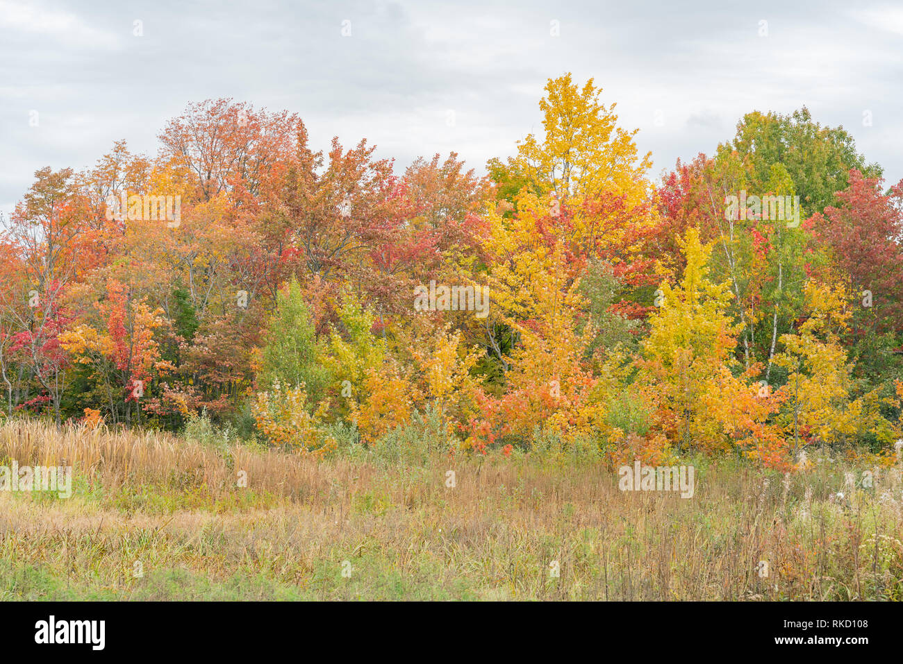 Rural Quebec High Resolution Stock Photography and Images - Alamy