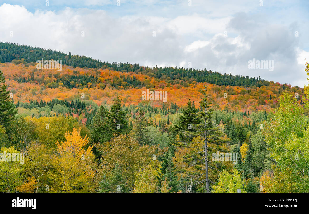 Aerial view of some rural fall color landscape at Quebec, Canada Stock ...
