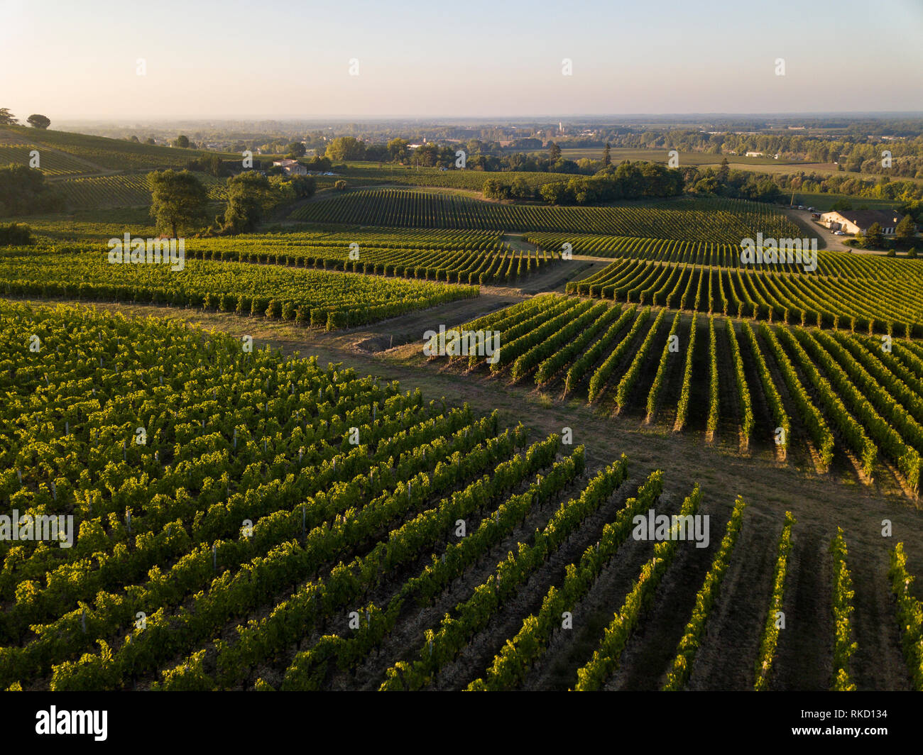 Sunset landscape bordeaux wineyard france hi-res stock photography and ...