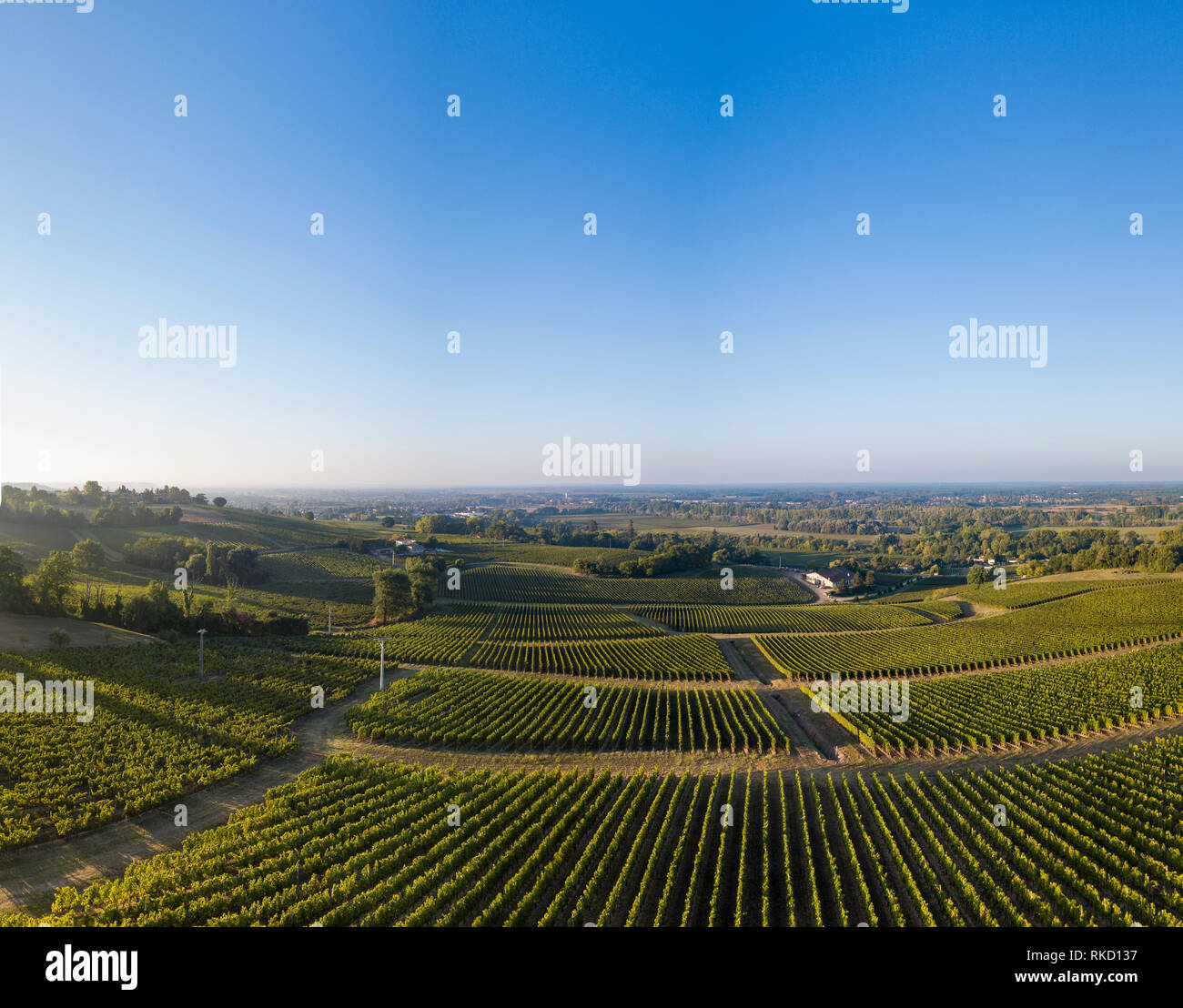 Sunset landscape bordeaux wineyard france hi-res stock photography and ...