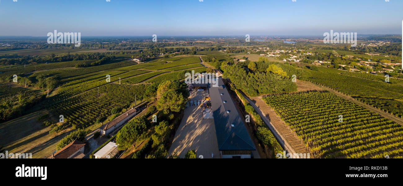 Sunset landscape bordeaux wineyard france hi-res stock photography and ...