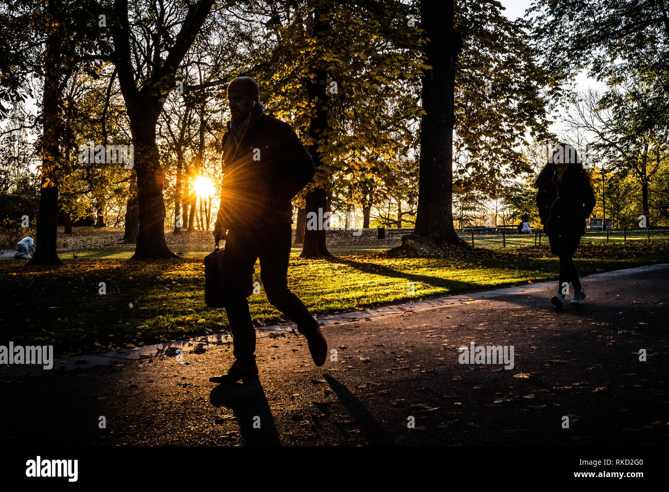 Morning slottsparken hi-res stock photography and images - Alamy