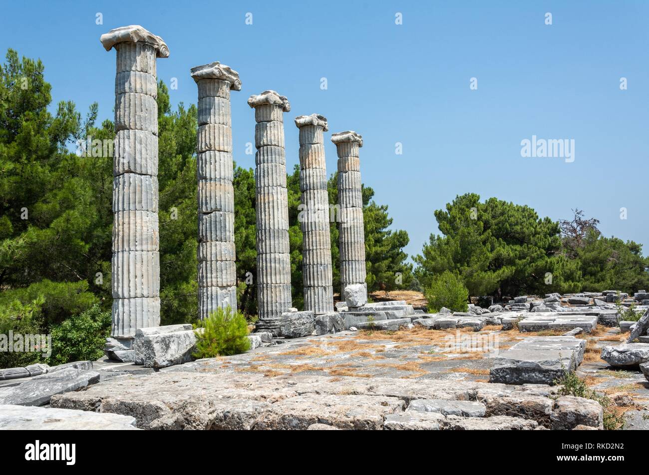 Samson Temple Stock Photos & Samson Temple Stock Images - Alamy