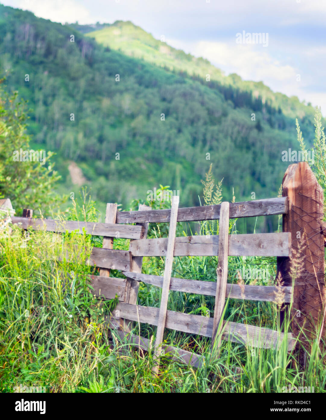 Weathered Wooden Split-Rail Fence with Supports in Tall Grass with ...