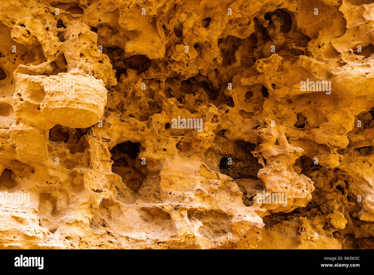 Textured wall of a sandstone canyon Stock Photo - Alamy