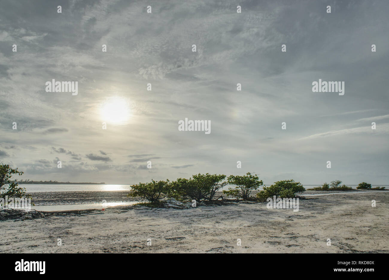 Isla blanca mexico hi-res stock photography and images - Alamy