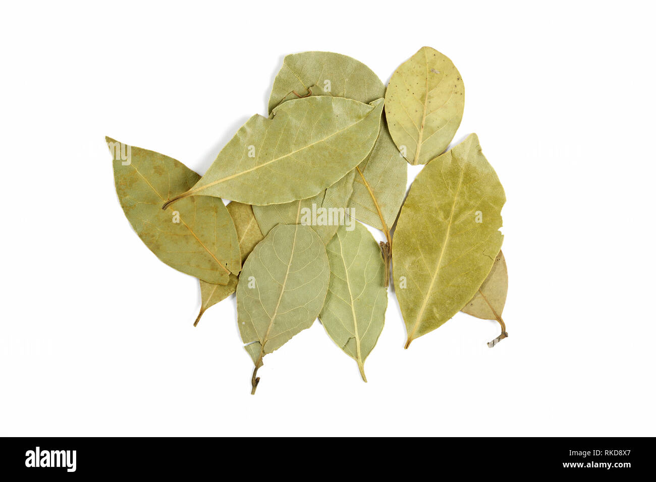dried bay leaves isolated on a white background Stock Photo - Alamy