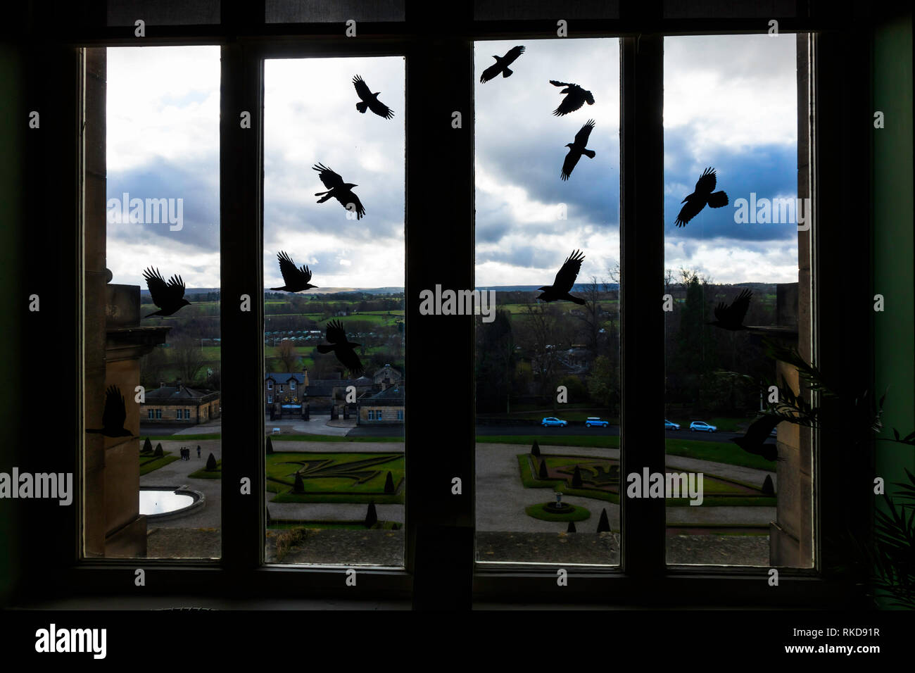 Art Work by Rachel Emily Taylor in response to the ill health of ...