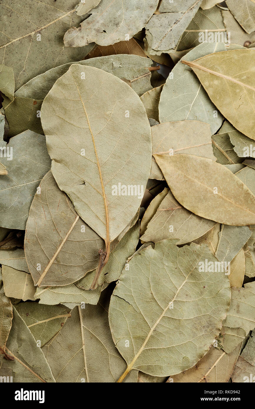Bay leaves background hi-res stock photography and images - Alamy