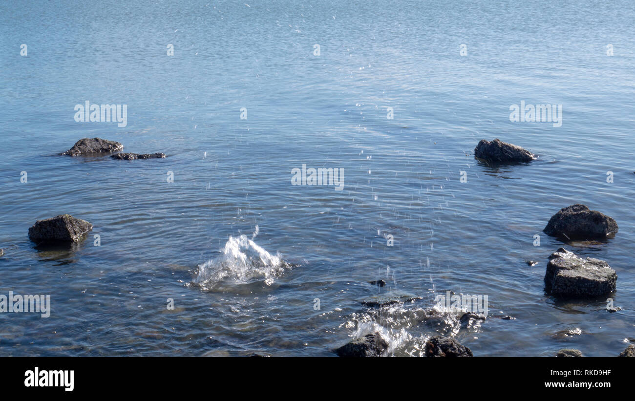 Splash in the Water Stock Photo - Alamy