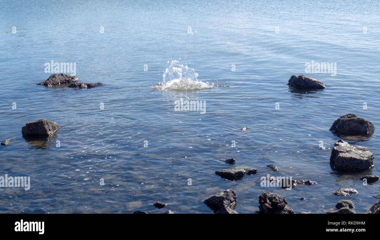Water line ripples hi-res stock photography and images - Alamy