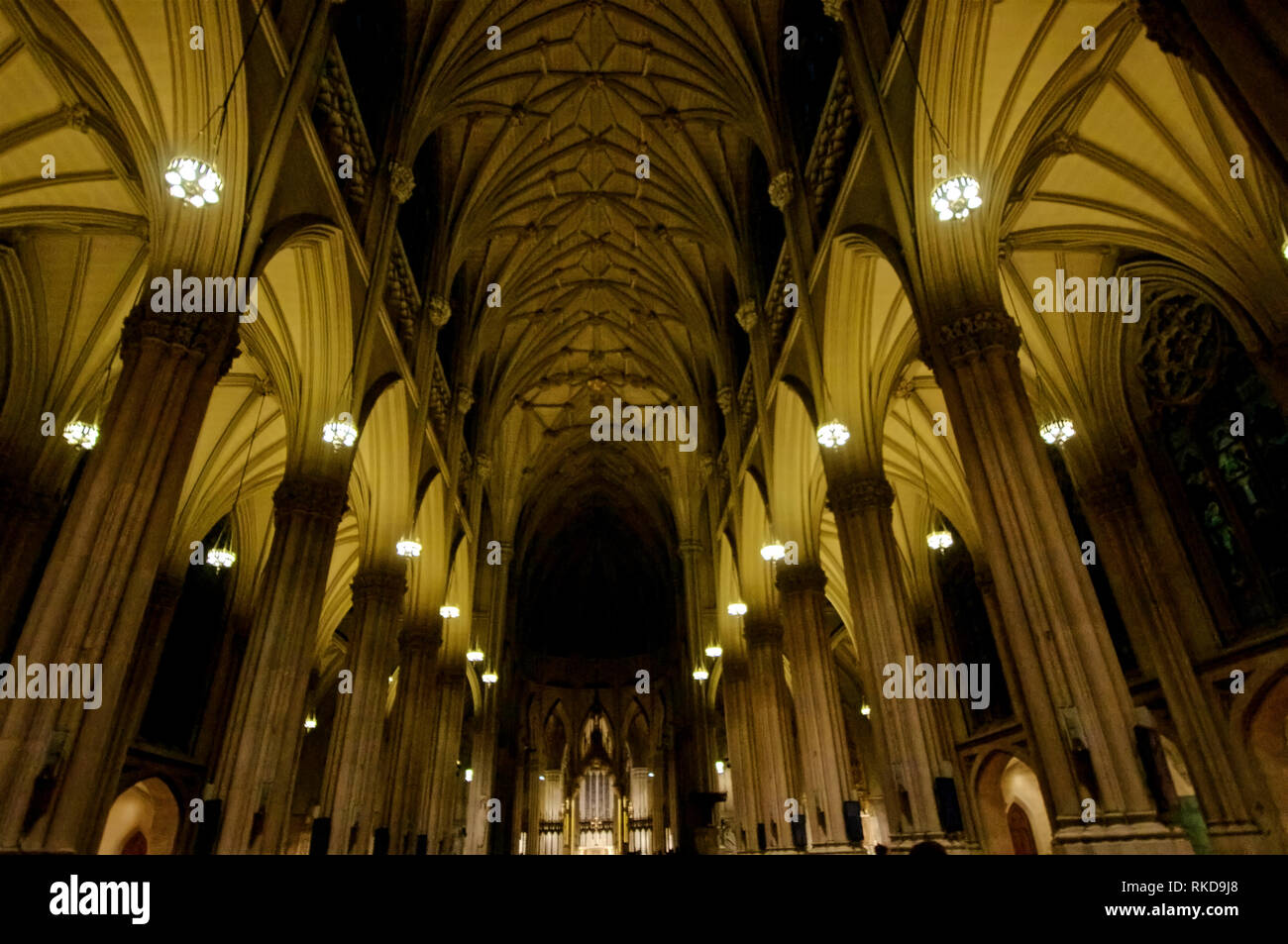 The vaulted ceiling of St. Patrick's Cathedral, a Catholic church, on ...
