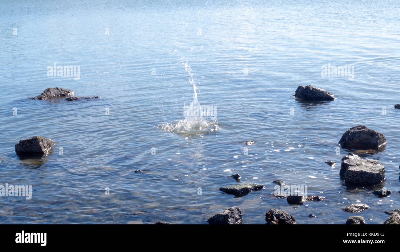 Throwing rocks in water hi-res stock photography and images - Alamy