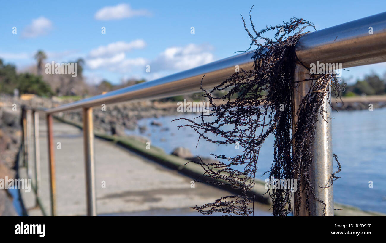 Tidal walkway hi-res stock photography and images - Alamy