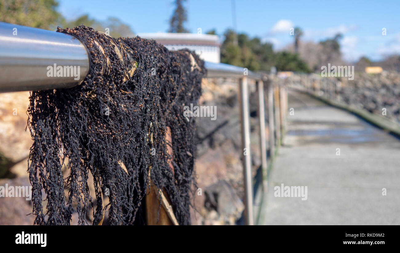 Tidal walkway hi-res stock photography and images - Alamy