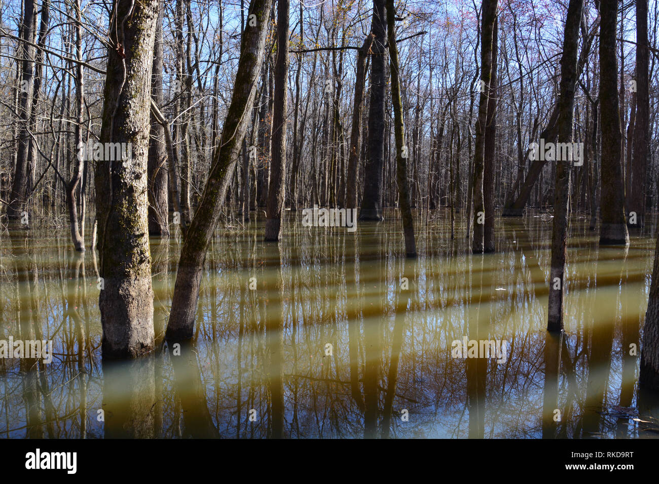 Roanoke river hi-res stock photography and images - Alamy