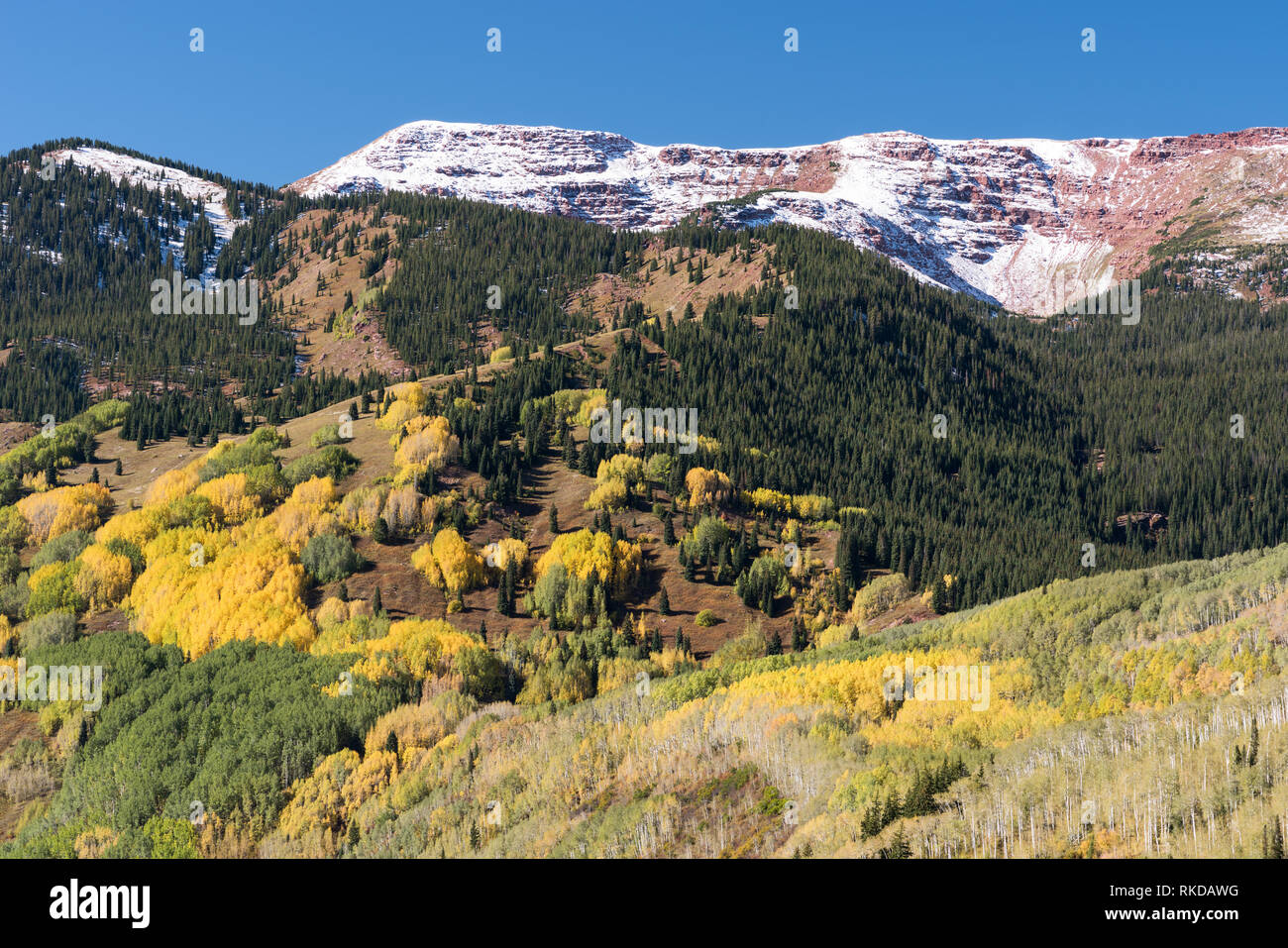 Elk Mountains ridge that is located within the White River National ...