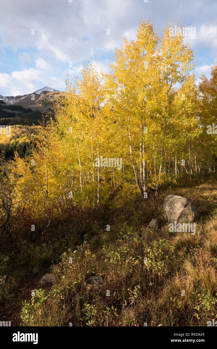 View of East Beckwith Mountain and Lost Lake Slough from Lost Lake ...