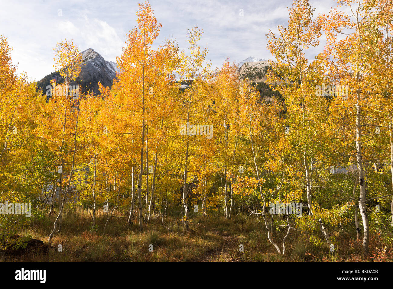View of East Beckwith Mountain and Lost Lake Slough from Lost Lake ...