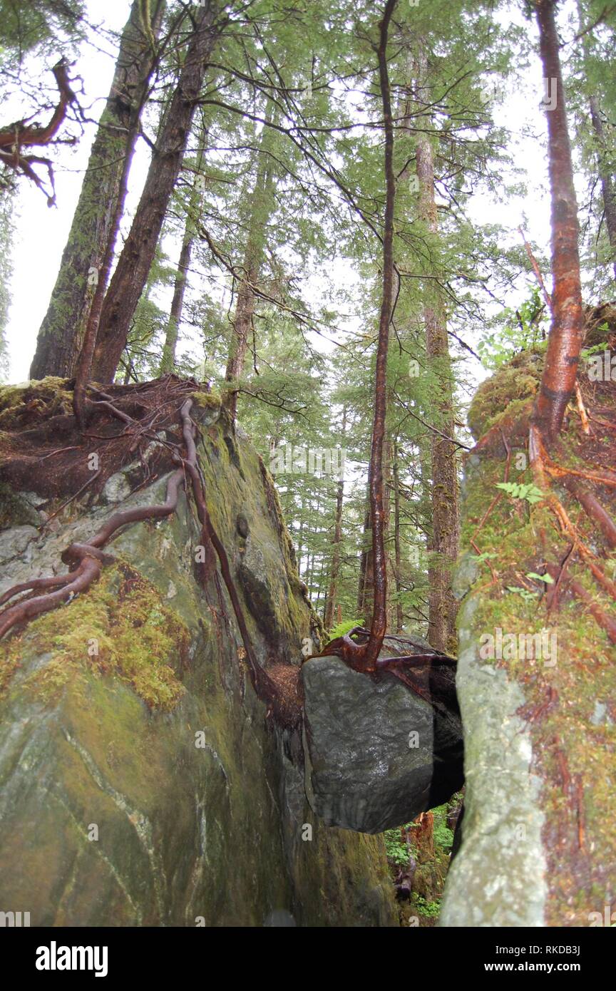 Wedged rock hi-res stock photography and images - Alamy