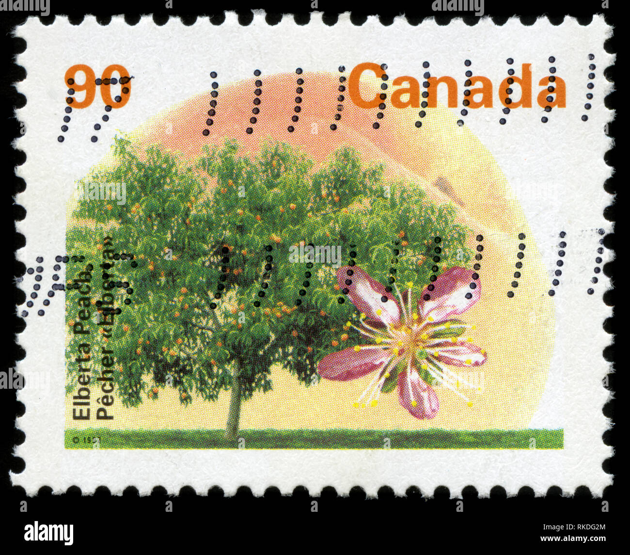 Postage stamp from Canada in the Definitives 1991-96: Fruit and Nut ...