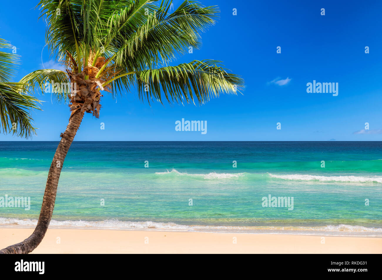 Sunny beach and tropical sea Stock Photo - Alamy
