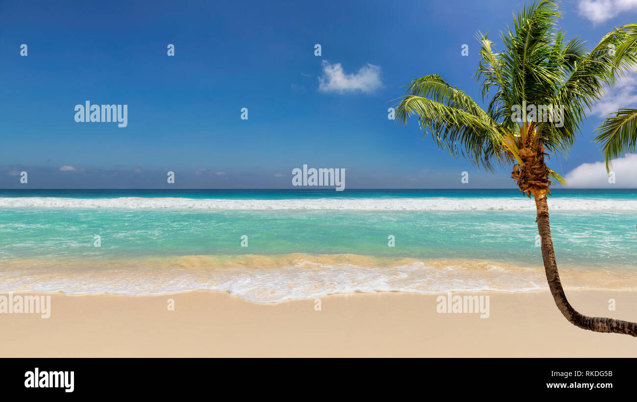 Exotic tropical beach background Stock Photo - Alamy