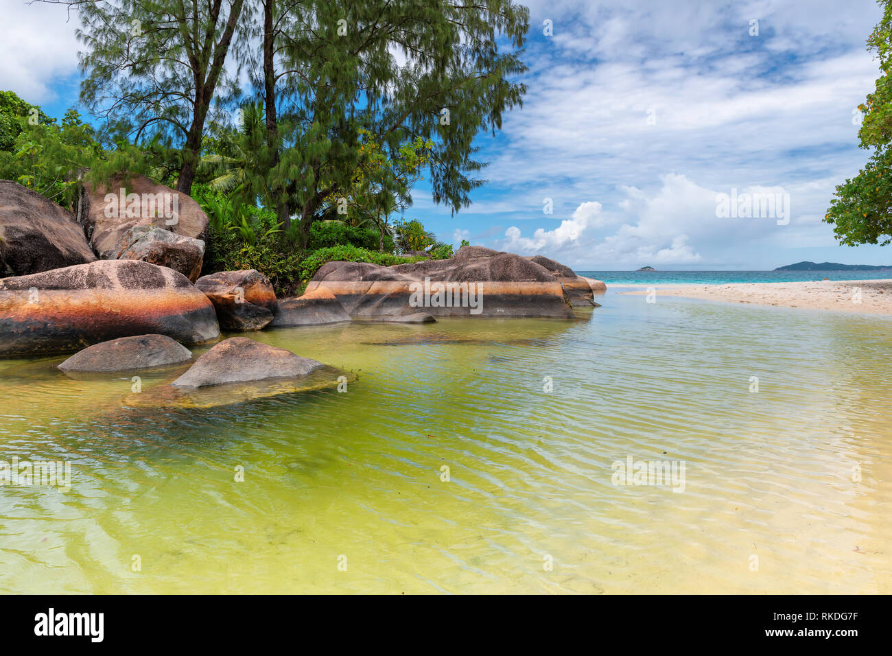 Tropical jungle river in seychelles hi-res stock photography and images ...