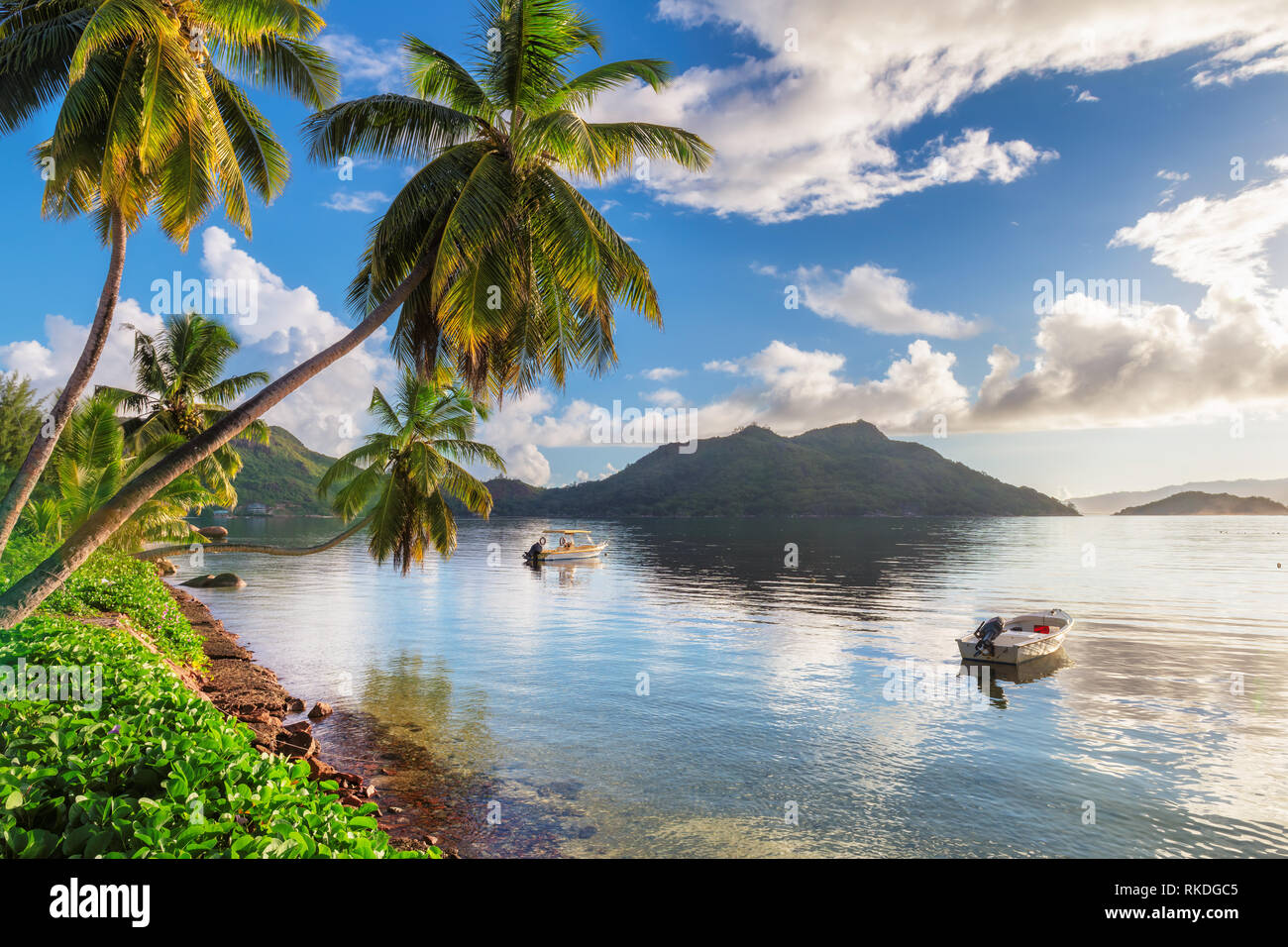 Coco palms at sunrise on tropical island, Praslin, Seychelles Stock ...