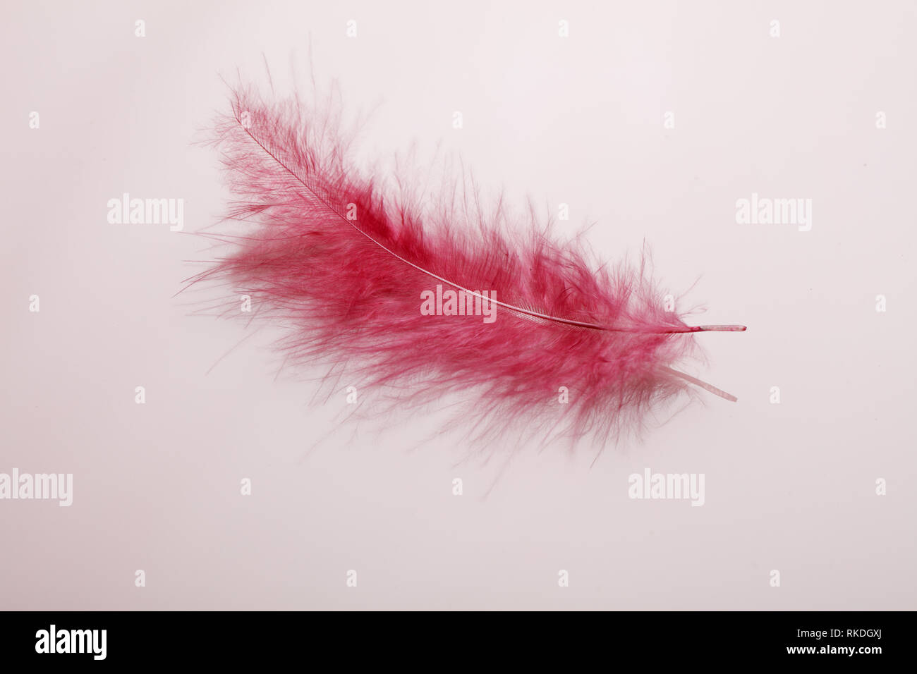 Brazilian carnival decoration hi-res stock photography and images - Alamy