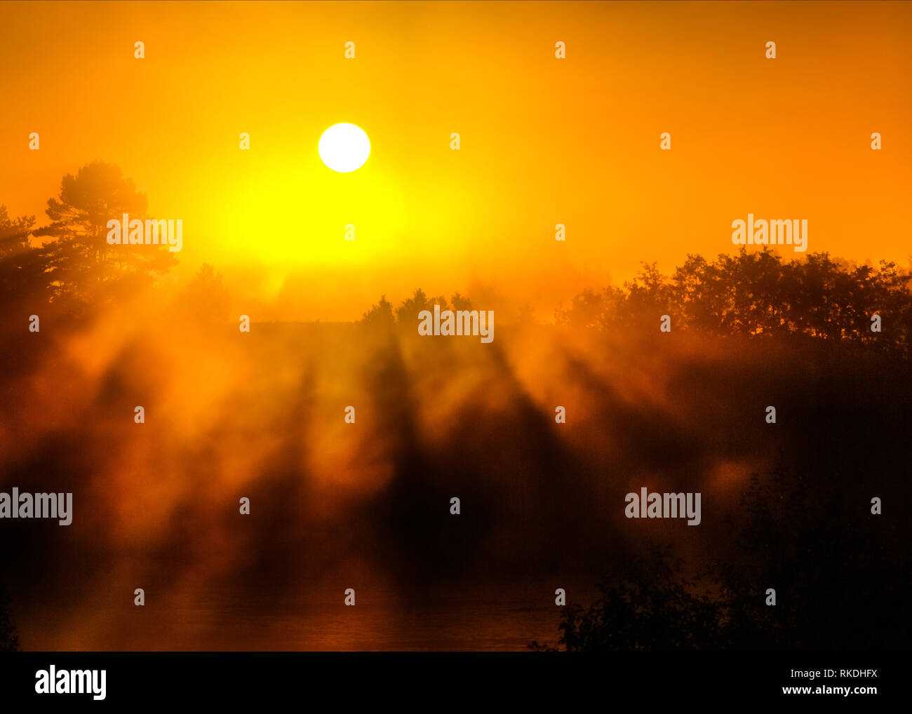 Sun shinning through the fog at sunrise, light rays, morning landscape ...