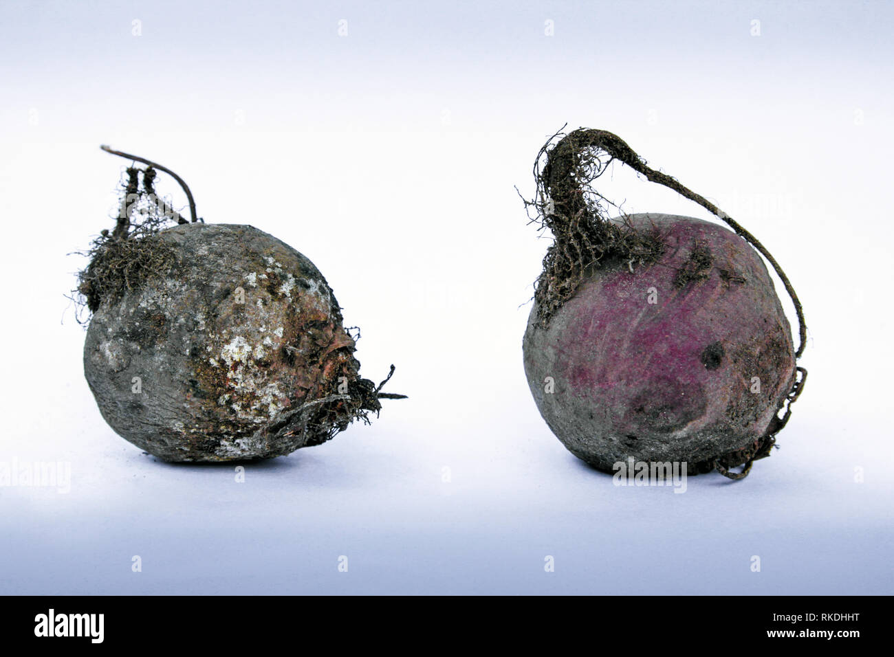 Rotten vegetables hi-res stock photography and images - Alamy